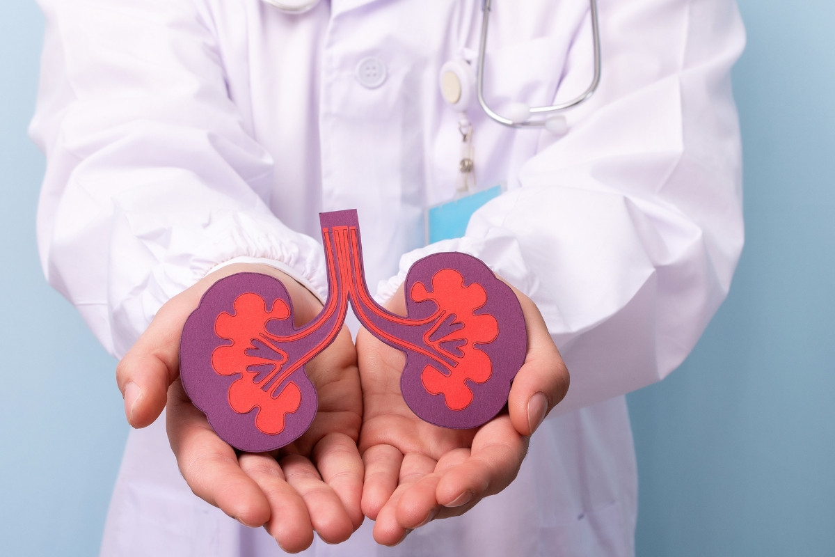 Urologija - Pregled, dijagnostika i liječenje - Poliklinika Sanus Zadar